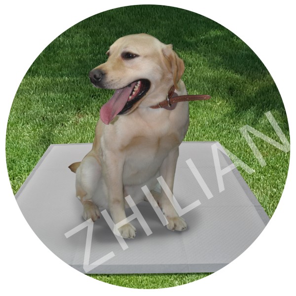 Quality Disposable Pet Pad Machine for sale