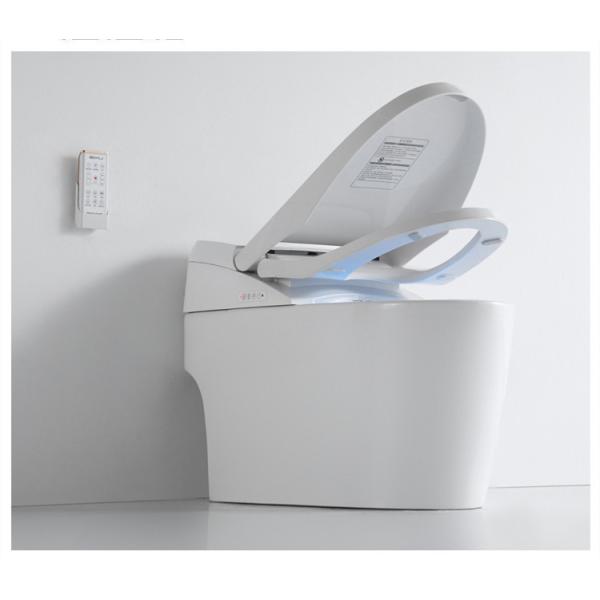 Quality Waterproof Air Purification Acrylic ABS Intelligent Flushing Toilet Seat for sale