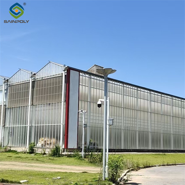 Quality Agricultural Polycarbonate Multi Span Greenhouse Venlo Style 30-60m Length for sale