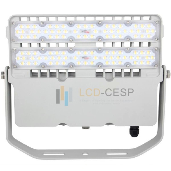 Quality UV Protected SMD 5050 IP66 LED Flood Light 100W 80W for sale