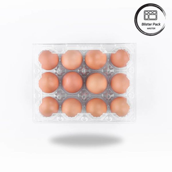 Quality 3x4 Clear Plastic Egg Containers Customized Hot Selling Plastic Egg Cartons for sale