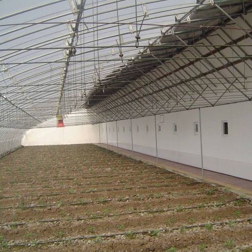 Quality 2000.000kg Tomato and Cucumber Cultivation Sunlight Greenhouse Solution with for sale
