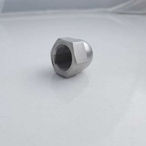 Quality M2 M6 M8 M12 Bolt Covers Hex Nut Hexagon Domed Nut for sale
