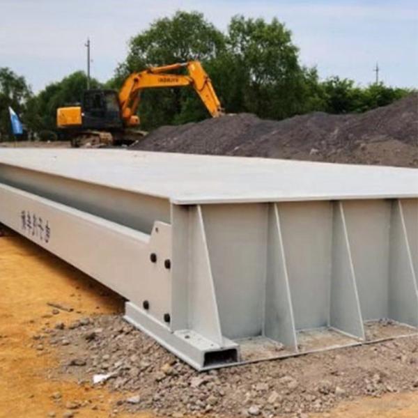 Quality Maximum Capacity 30 Ton 300T on Heavy Duty Weighing Scale with IP68 Level for sale