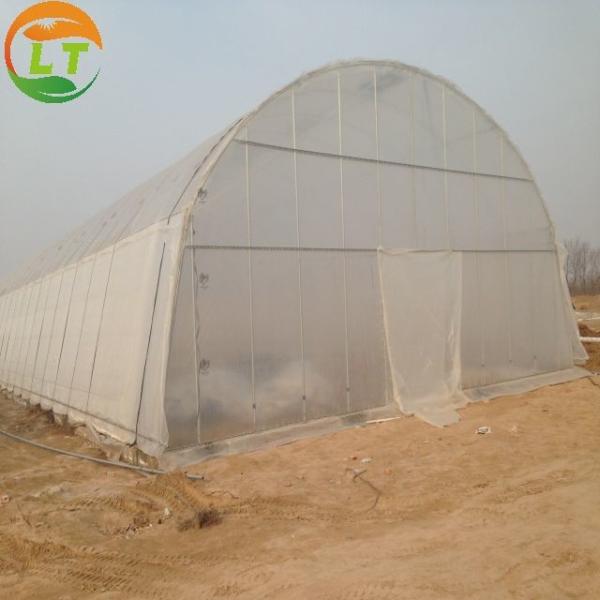 Quality Film Cover Single-Span Agricultural Greenhouses for Agricultural Cultivation for sale