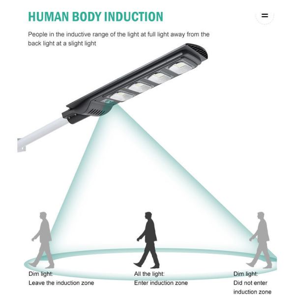 Quality 50-300W High Lumen Induction Power Solar Street Lamps for Road and Garden for sale