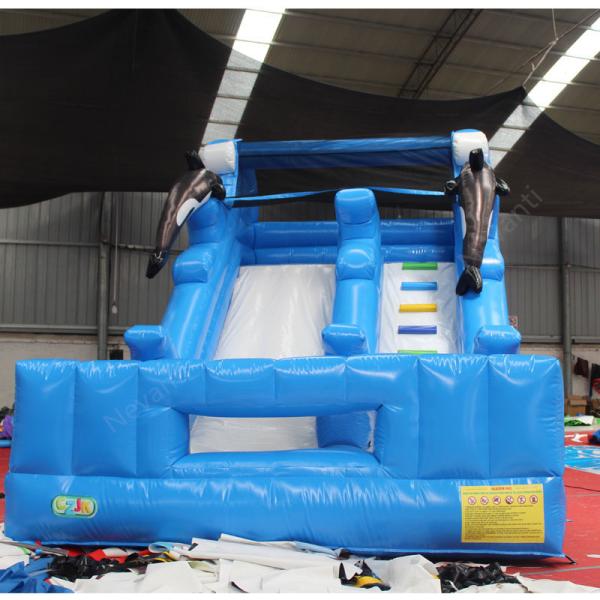 Quality Unisex Inflatable Dry Slide Customized Size Inflatable Castle Slides for Water for sale