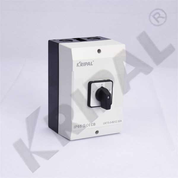Quality Purple Horn 10-100A IP65 Waterproof Changeover Switch RoHS Standard for sale