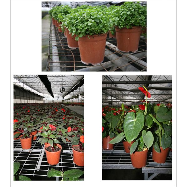 Quality Lightweight 1 Gallon Plastic Flower Pots 18.5cm For Leek Seedling for sale