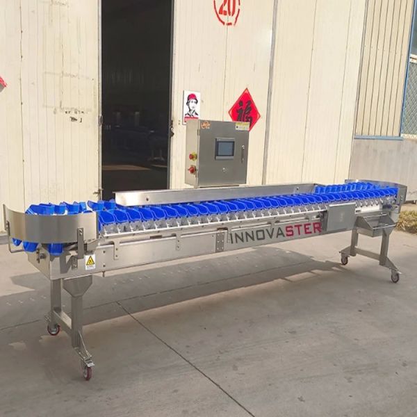 Quality 304 Stainless Steel Dynamic Weight Sorting Machine for Corn Raw Material for sale