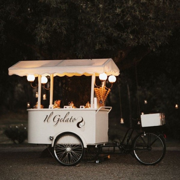Quality Sea Transportation Size Customization for Street Vending Carts Food Cart Coffee Bike for sale