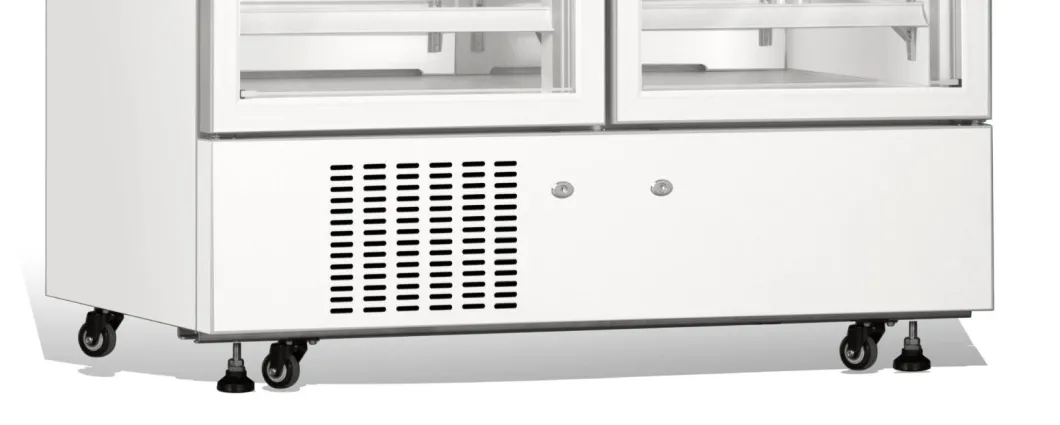 Large Capacity 1006L Side by Side Vertical Stand Medical Pharmacy Vaccine Refrigerator 2-8 Degrees