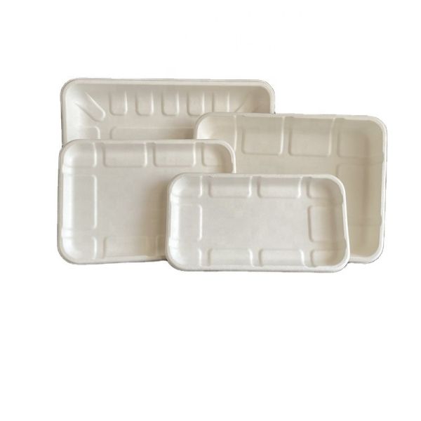 Quality Fruit Sugarcane Bagasse Pulp Weddings Vegetable Disposable Meat Microwave Safe for sale