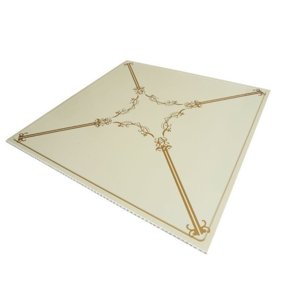 Quality No Frame Plastic Composite 3D Panel for Ceiling/Wall Decorative Size 500mm*500mm for sale