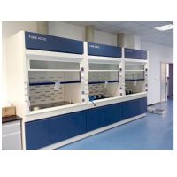 Quality 6mm Acid Compact Board Interior Lining Panel Benchtop Fume Hood for Labs Testing for sale