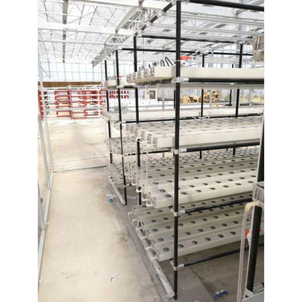 Quality Greenhouse Agriculture Iot Vertical Factory For Modern Agriculture for sale