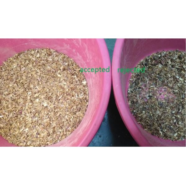 Quality 5400 Million Pixels Vegetable Sorting Machine High Capacity For Dried Onion for sale