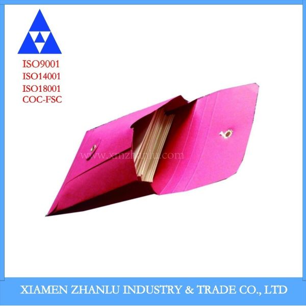 Quality Colour Gusset Pocket Envelope with Washer String Closure Style Design in Kraft for sale