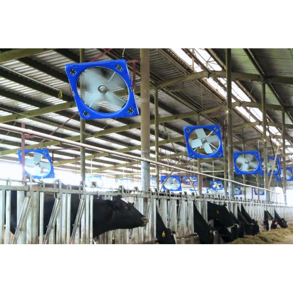 Quality 1140*1140*300mm Livestock Ventilation Fans For Circulation for sale