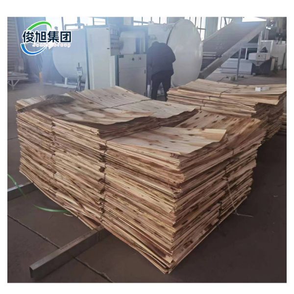 Quality Customizable Heating Method Wood Vacuum Drying Machine for High Frequency Drying for sale