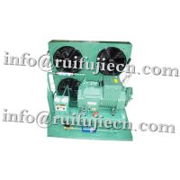 Quality 3HP Cool room storage  Refrigeration Condensing Units 2EC-3.2 2EES-3 for sale