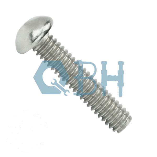 Quality GR2 Bolt Round Head Square Neck for sale