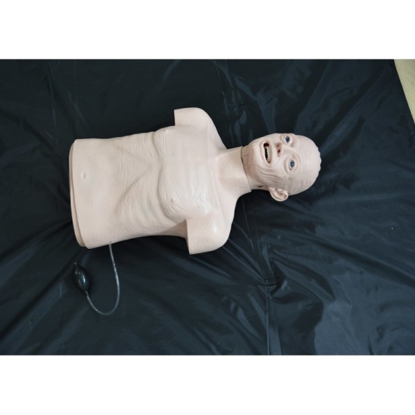 Quality Elderly CPR Simulator Manikin With Anatomical Landmarks for sale