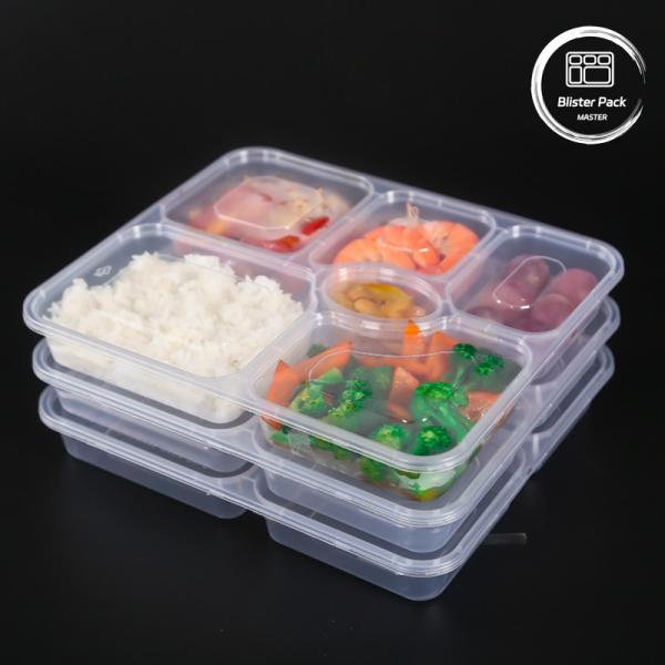 Quality Transparent Plastic Meal Prep 6 Compartment Disposable Bento Box For Hotels And for sale