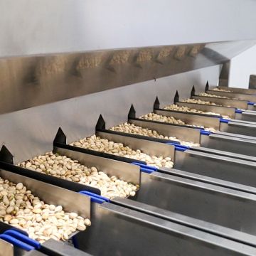 Quality 1 Ton High Capacity Pistachio Nuts Sorting Machine Stainless Steel for sale