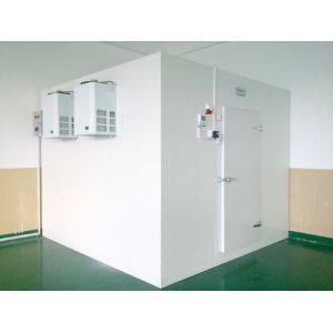 Quality High / Low Temperature 42KG/M3 Walk In Coldroom White Colorbond for sale