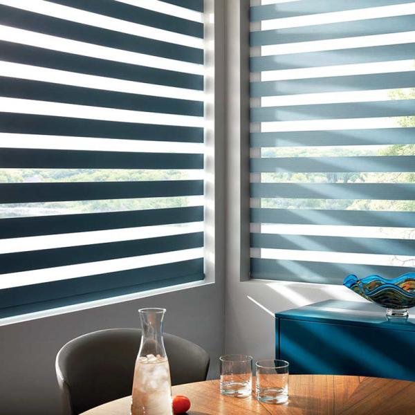 Quality Customized Yes Fashionable Zebra Blind for Roller Shade Day and Night Polyester for sale