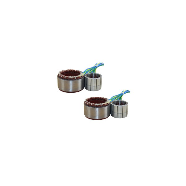 Quality TBSM76 Small Volume High Torque 48v Brushless DC Motor High Torque Geared DC Motor for sale
