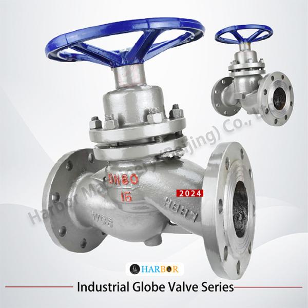 Quality Flanged Connection Plunger Globe Valve for Steam DN15-DN250 Cast Steel US41M-16C for sale