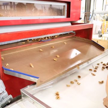 Quality 2 Tons Automatic Feeding Walnut Shelling Machine Featured Kernel Shell for sale