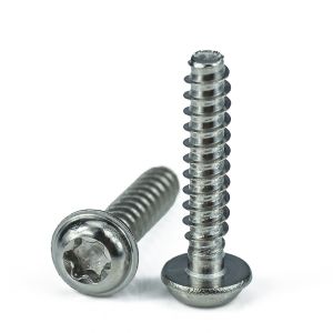 Quality Non-standard Torx Drive Pan Head PT Thread Forming Stainless Steel WN5451 PT for sale