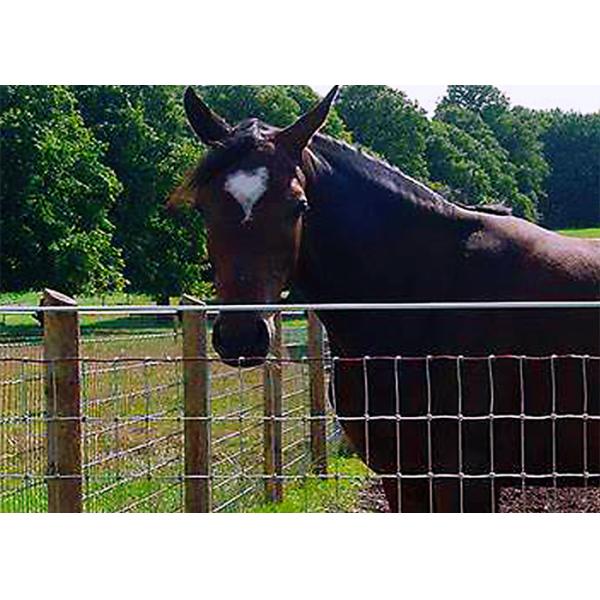 Quality Corrosion Resistance Super Knot Horse Mesh Fencing With Excellent Weather for sale