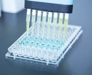 China Factory - REAGEN LLC