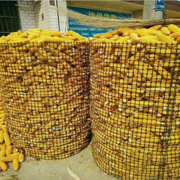 Quality Achieve Optimal Ground Stabilization with Biaxial Stretch Geogrid Fence for sale