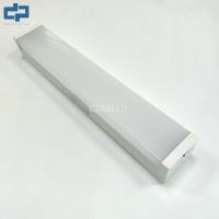 Quality 18W Stainless housing Linear LED batten fixture 3000K 646 * 116 * 96mm for sale