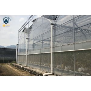 Quality Vegetables Multi Span Agricultural Greenhouse Plant Plastic Film Greenhouse for sale