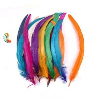 Quality 8-10 Inch Dyed Rooster Long Tail Feathers For DIY Hair Accessories And Costumes for sale