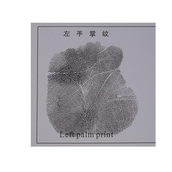 Quality E005 BTNY-II Rubber palm print pad for sale