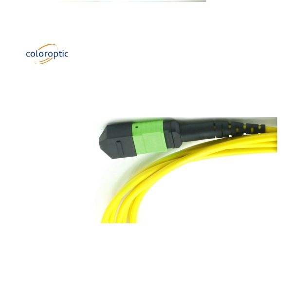 Quality OM3 MPO Patch Cord 12 Core Aqua Fiber Optic Connector For Efficient Networking for sale