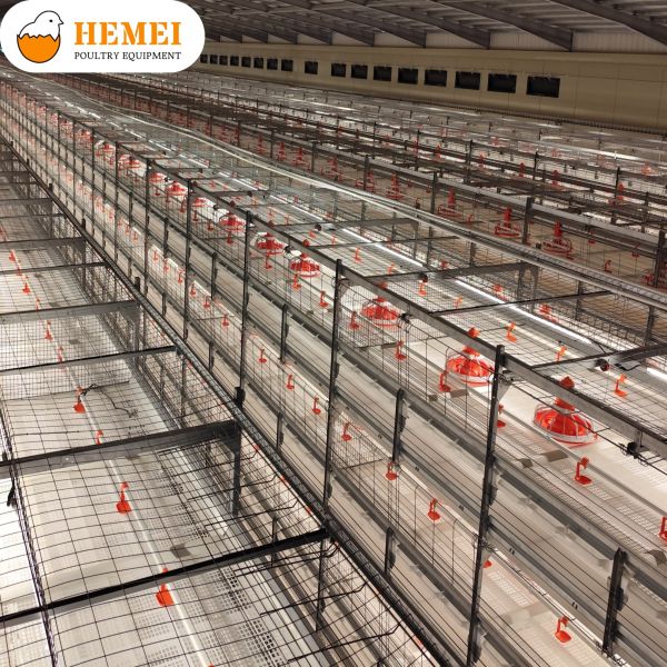 Quality Multi Tier Automatic Harvesting Broiler Cage for sale