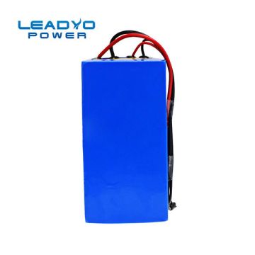 Quality LEADYO Custom Lithium Battery Rechargeable Lithium Ion Battery Pack 48V 20Ah for sale