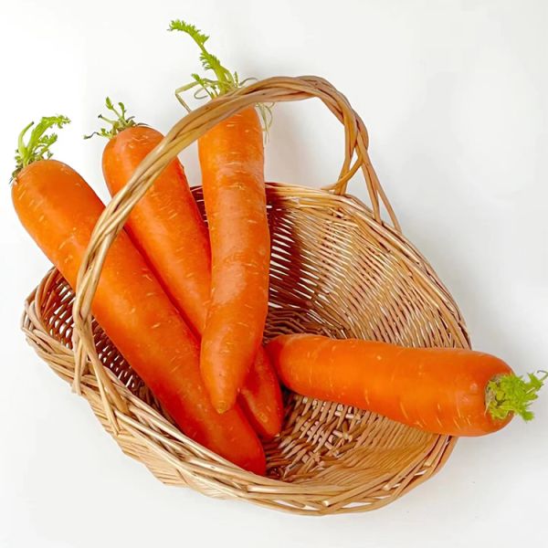 Quality New Crop Fresh Organic Vegetables Wholesale Carrot Seeds Price of Carrots In Bulk For Export In China for sale