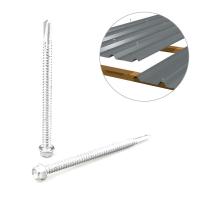 Quality Self Drilling Screw Ss 304 Parafuso Auto Brocante Self Tapping Screw Payment for sale