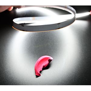 Quality Special Sideview LED COB Tape 10w Single Color COB Strip Light for sale