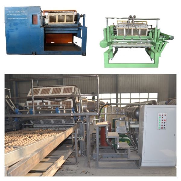 Quality 30-150kw Different Capacity Paper Egg Tray Machine With Advanced Technology for sale