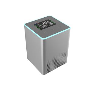 Quality Lightweight Plug In Smart Radon Detector Sensor For Home Detection OEM for sale
